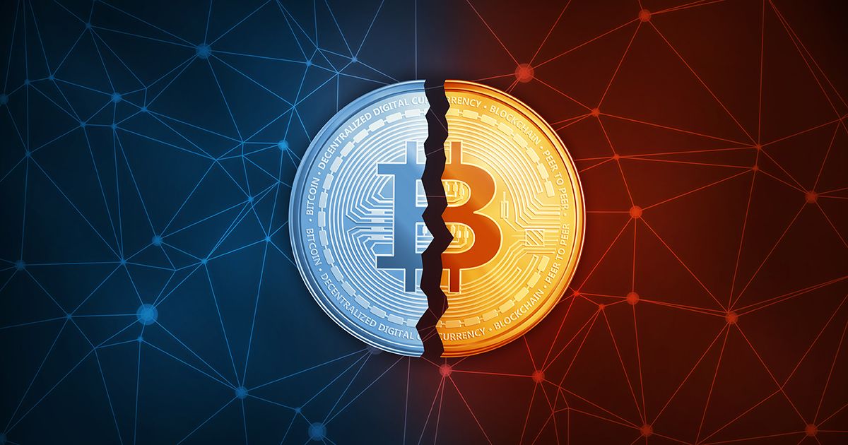 Bitcoin Cash (BCH-ABC) Removed From the ByteTree Terminal